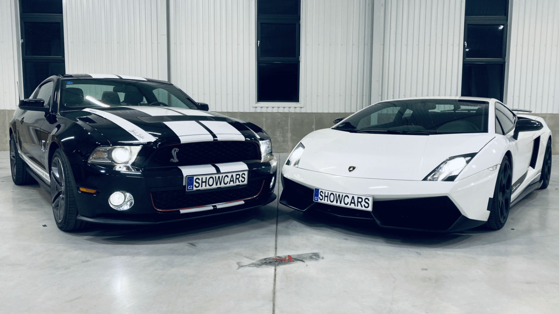 Lamborghini Gallardo vs. Mustang GT5.0 V8 SHELBY | Stips.cz